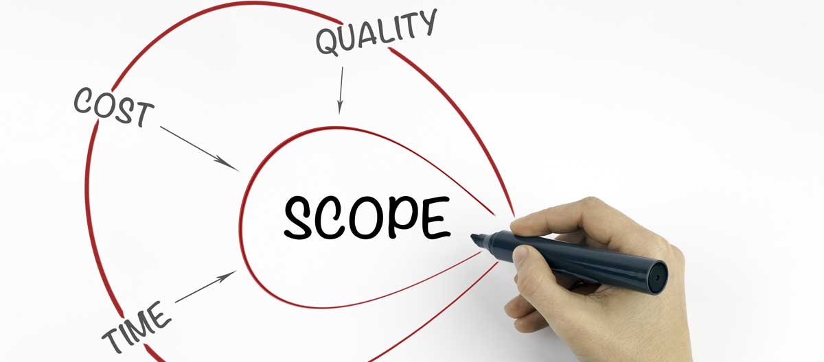 Project Management for Successful Software Development